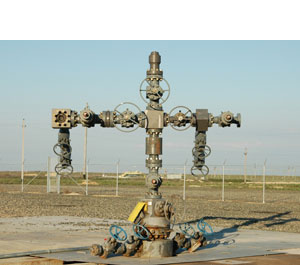 Plug Catchers - Bestway Oilfield